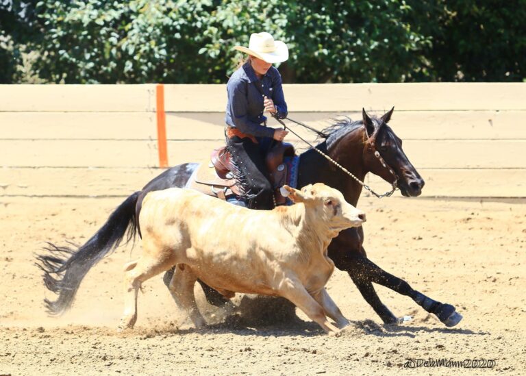 Events | California Reined Cow Horse Association