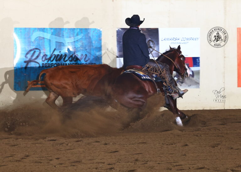 Fall Shoot Out Open Bridle Champions Lance Johnston & Annies Smart Cat ...